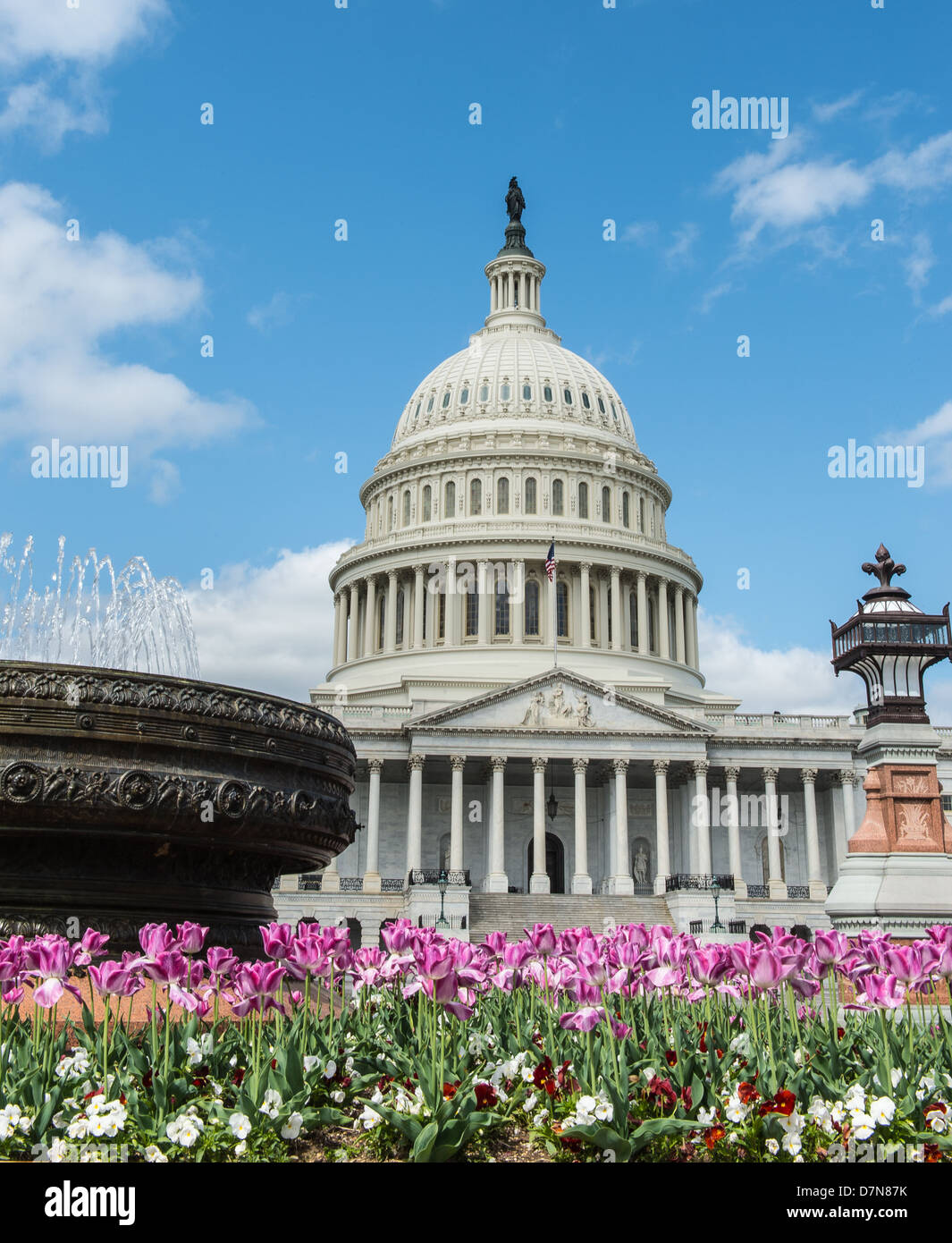 Washington d c capitol hill hi-res stock photography and images - Alamy