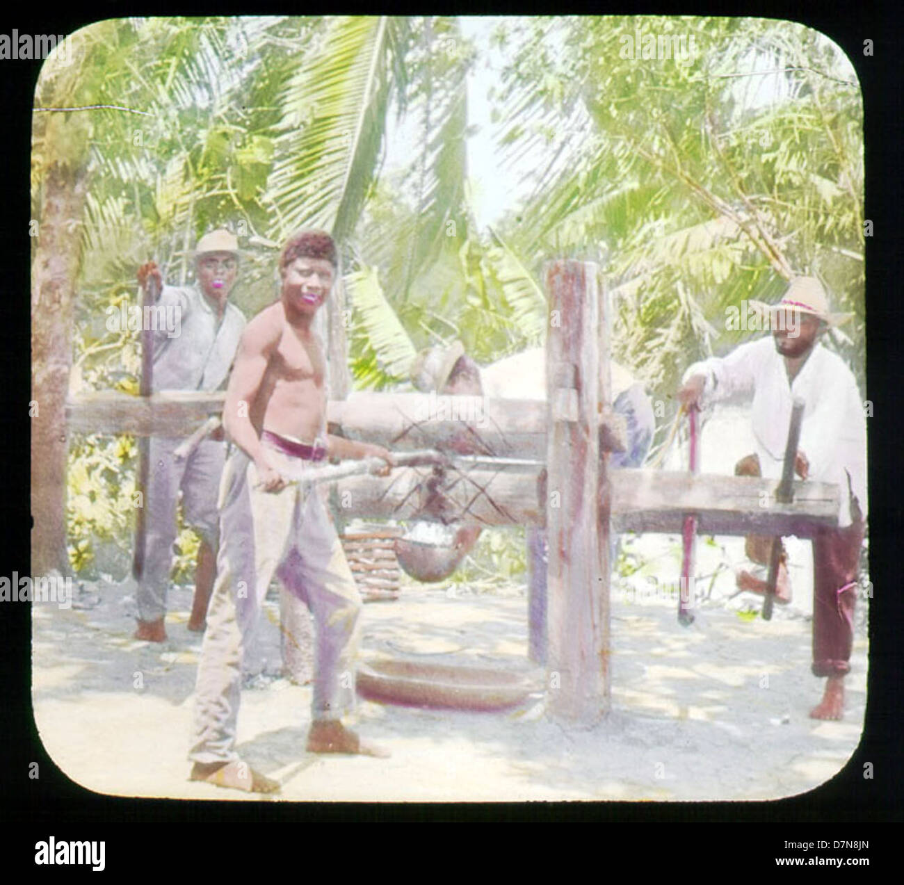 Sugar cane crusher hi-res stock photography and images - Alamy