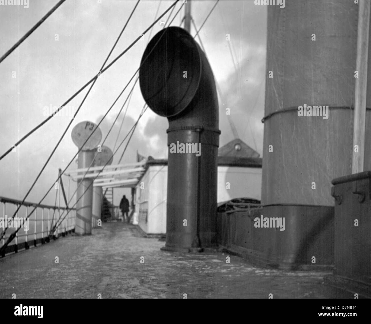 This photograph captures a botanical expedition on board a ship between ...
