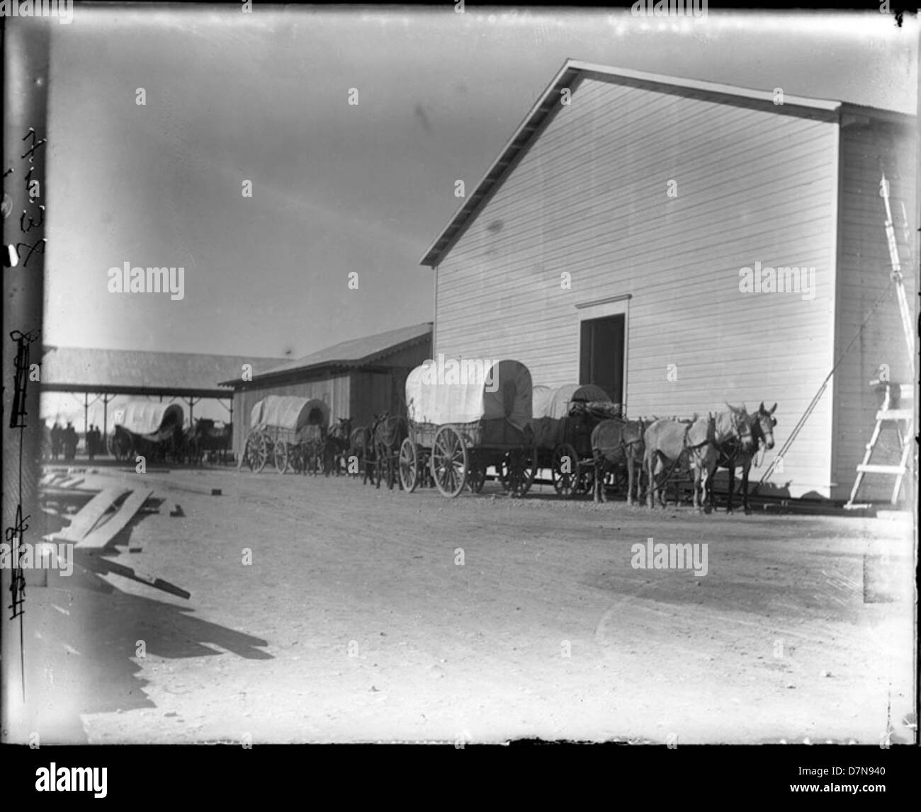 Covered Wagon Black and White Stock Photos & Images - Alamy
