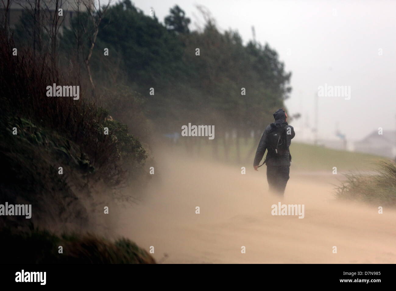 Thursday 09 May 2013 Pictured: A brave young man negotiates his way ...