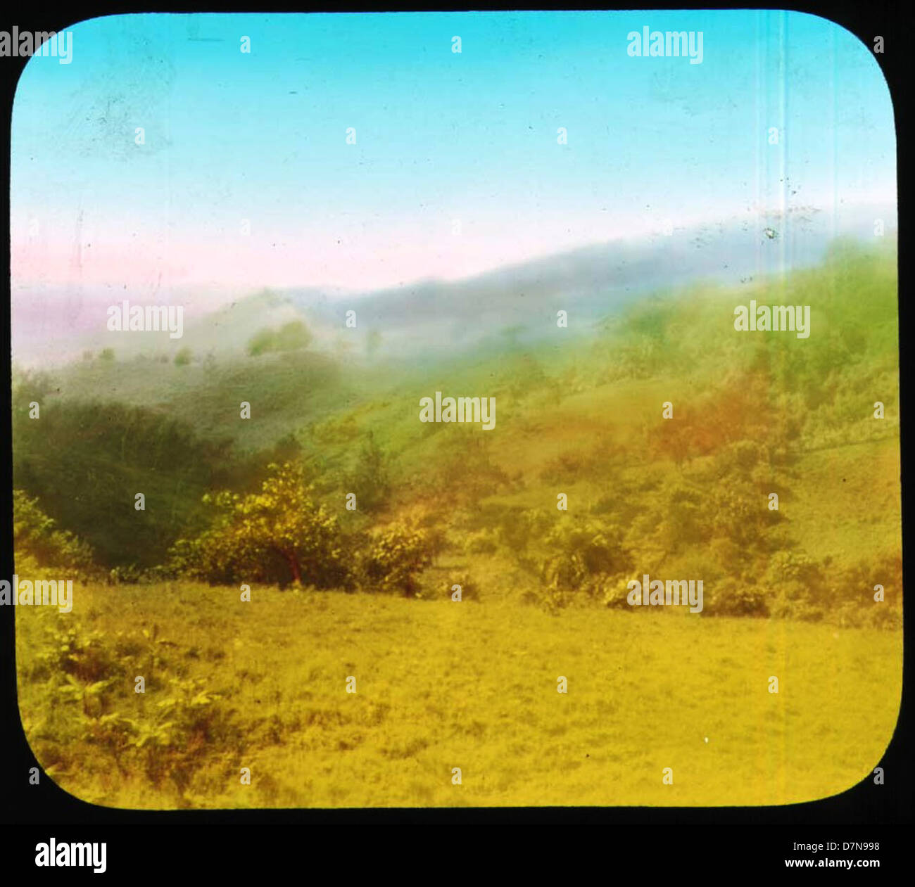 This image captures a landscape from 1898-1899, showcasing the flora ...