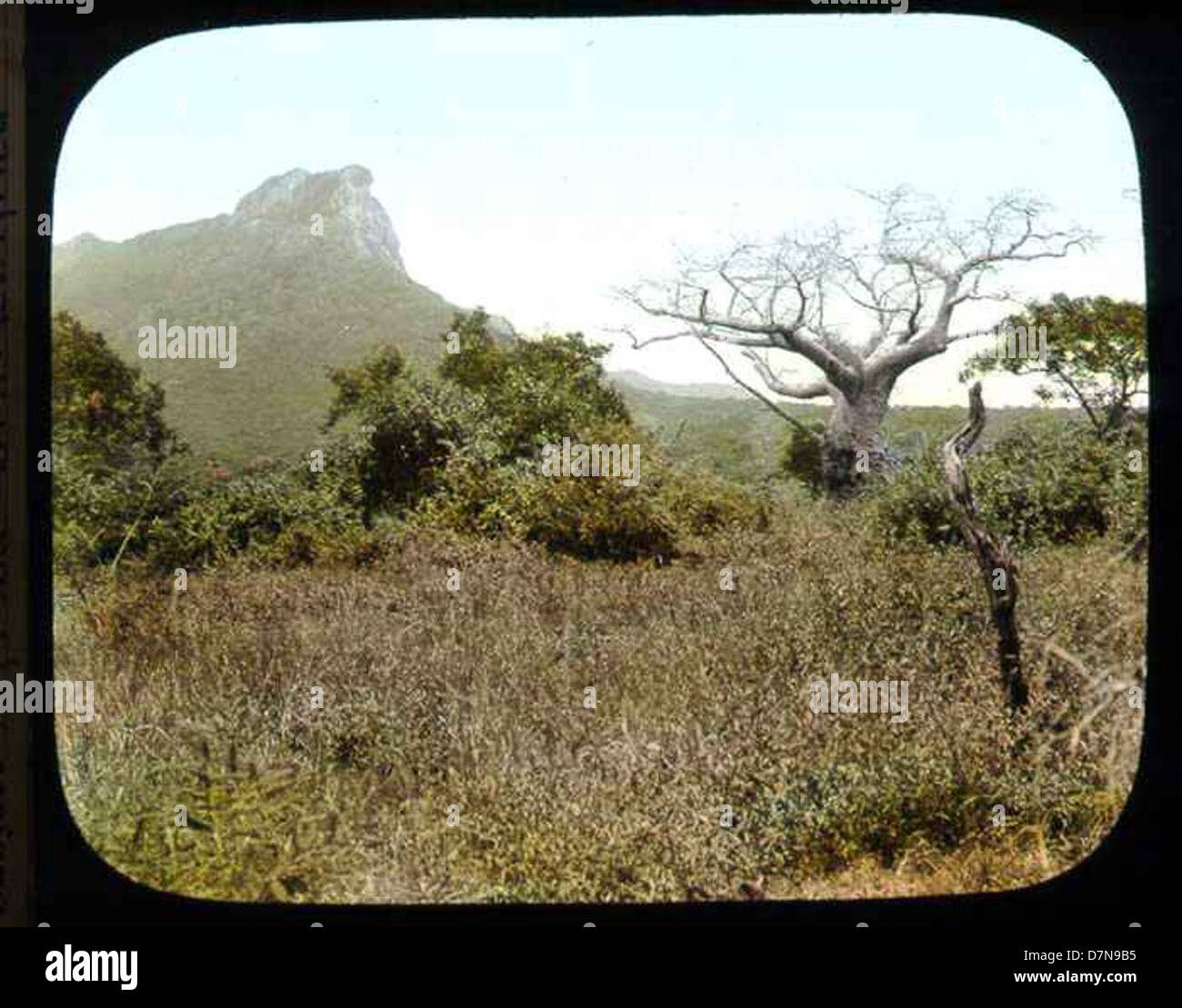 Lantern slide collections hi-res stock photography and images - Alamy