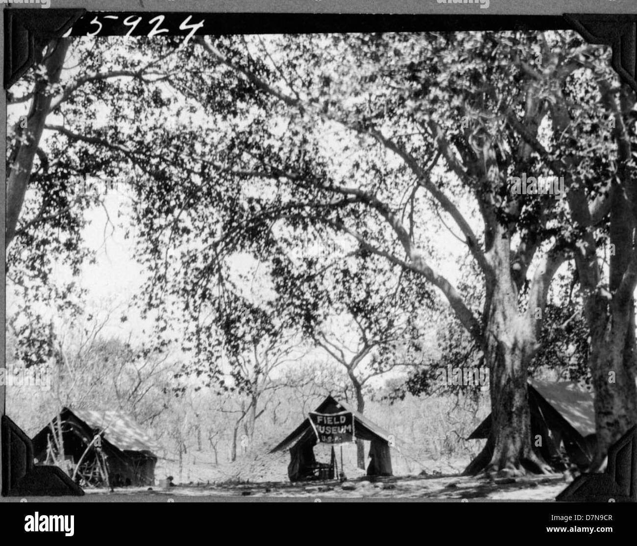 Abyssinia expedition Black and White Stock Photos & Images - Alamy