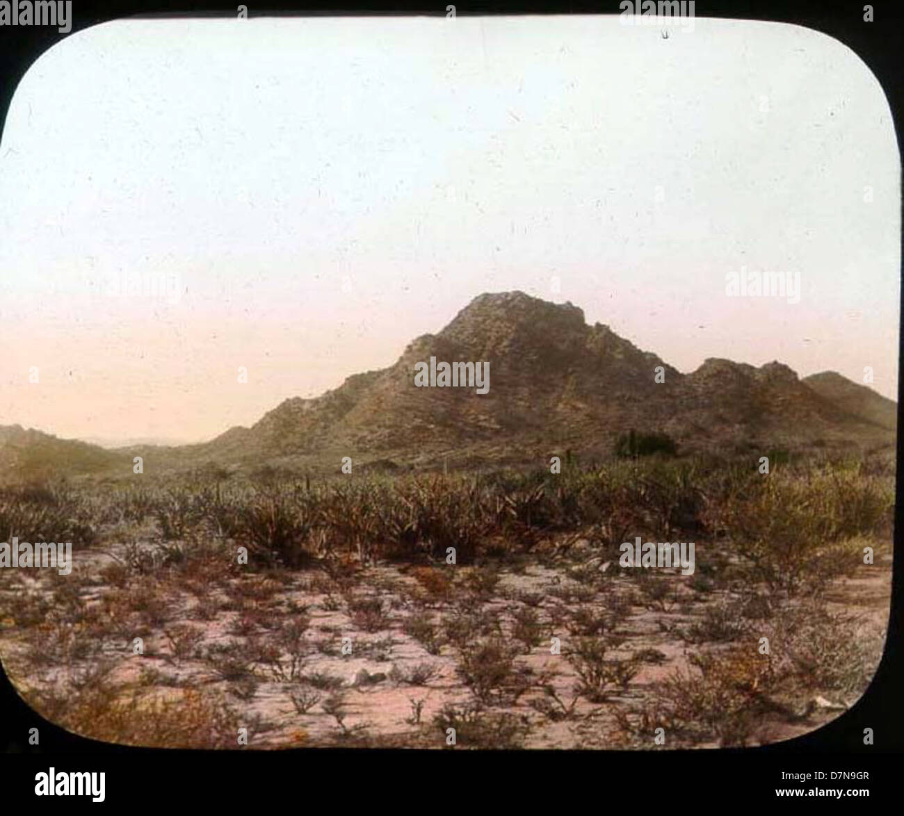 Golis range hi-res stock photography and images - Alamy