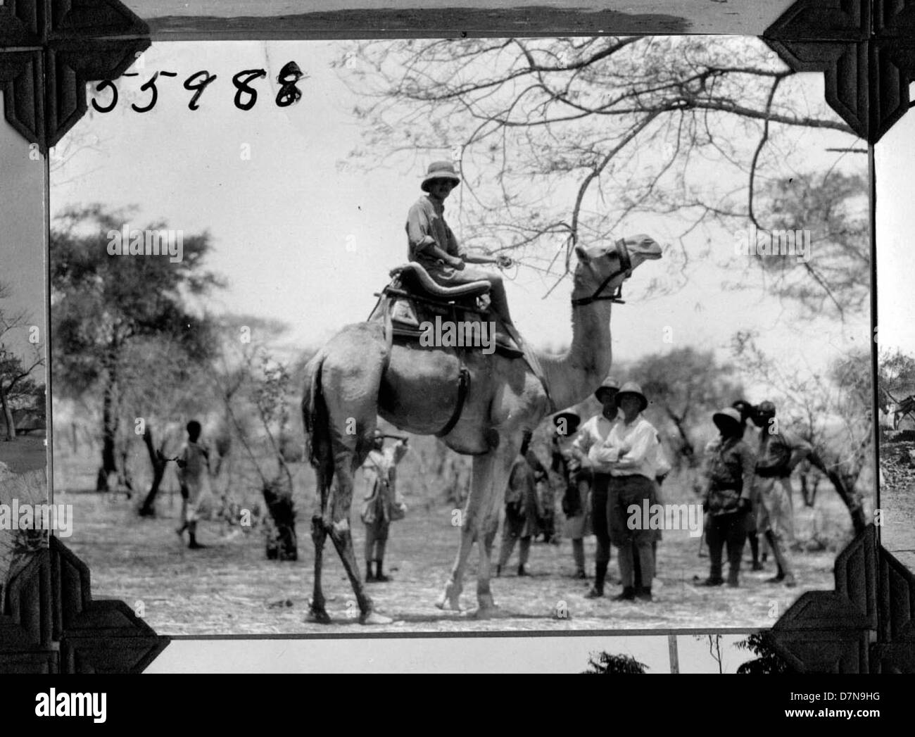 This image shows a man riding a camel during the 1926-1927 Abyssinian ...