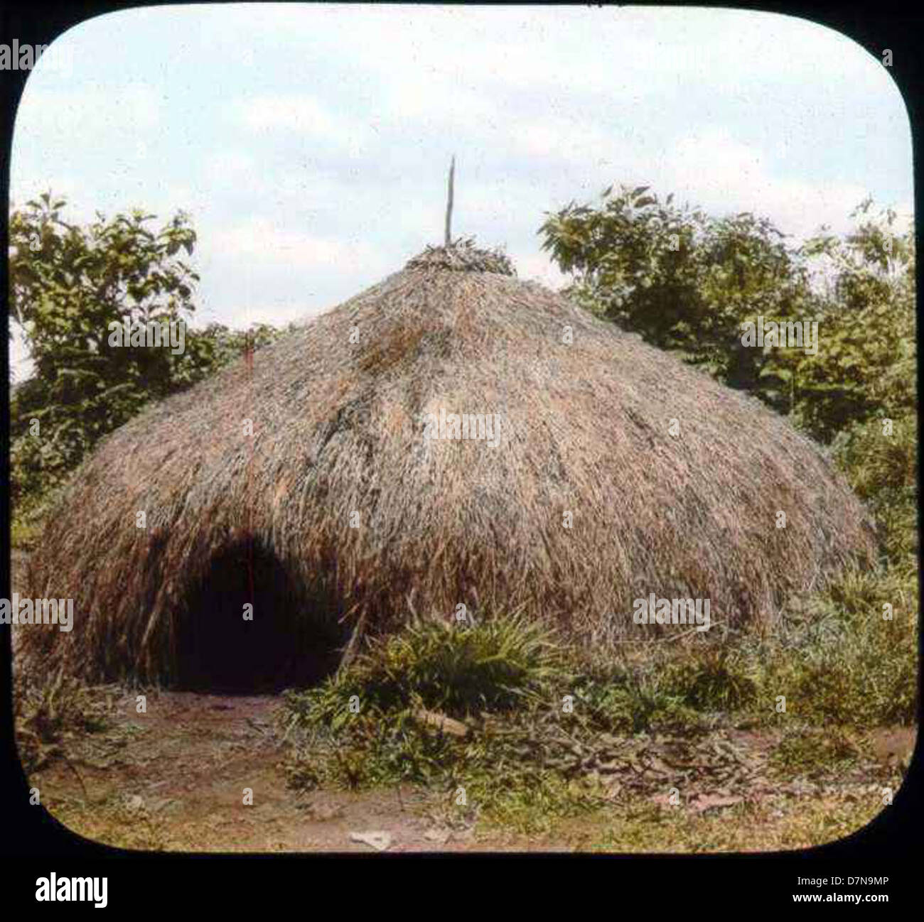 A grass hut used by the zoology expedition to Mount Kenya, led by Carl ...