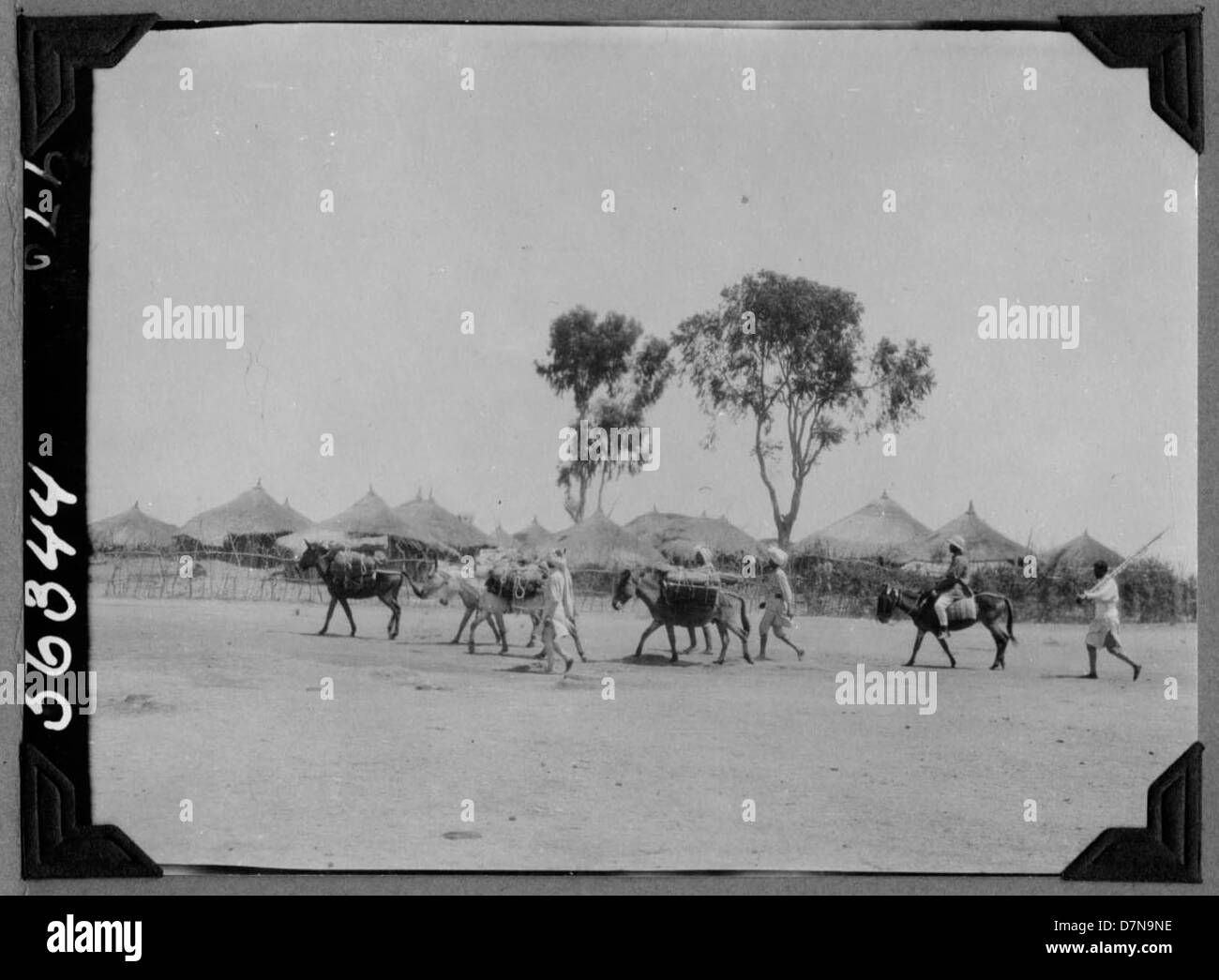 The Daily News Abyssinian Expedition, led by Alfred M. Bailey and ...