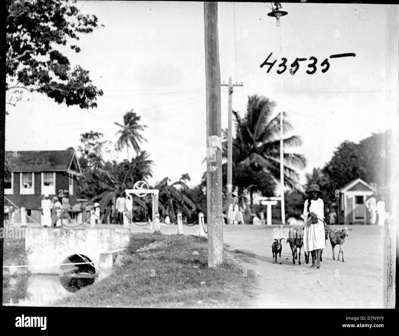 A 1922 photo of a street scene in British Guiana (now Guyana ...