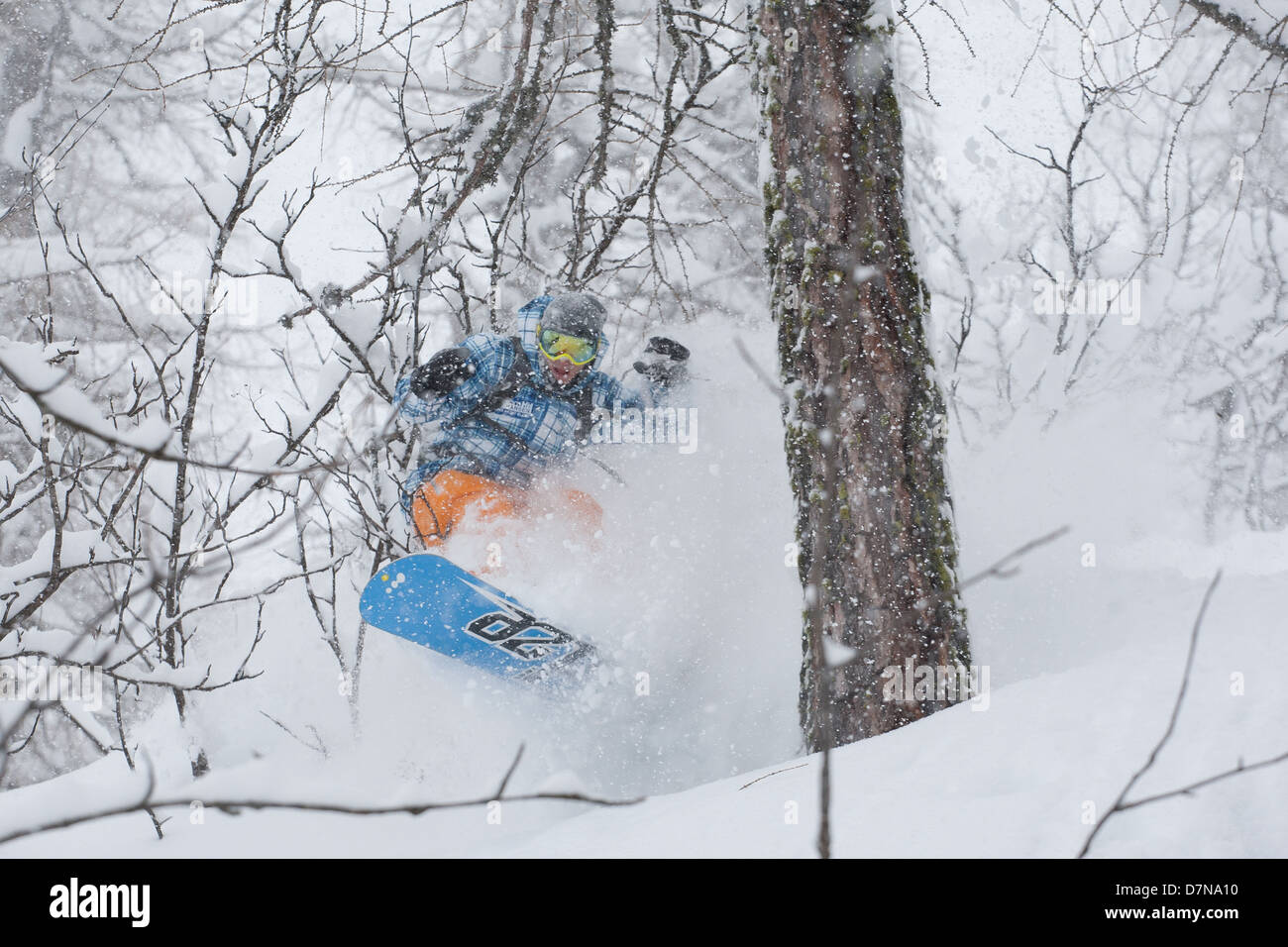 Free motion powder hi-res stock photography and images - Alamy