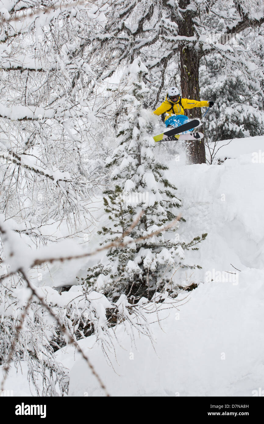 A skier hits the trees with his skis Stock Photo - Alamy