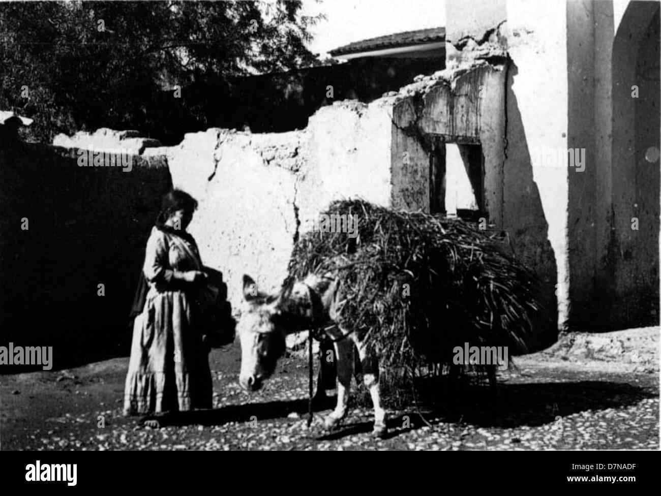 A woman stands near a burro during the 1923 Captain Marshall Field ...