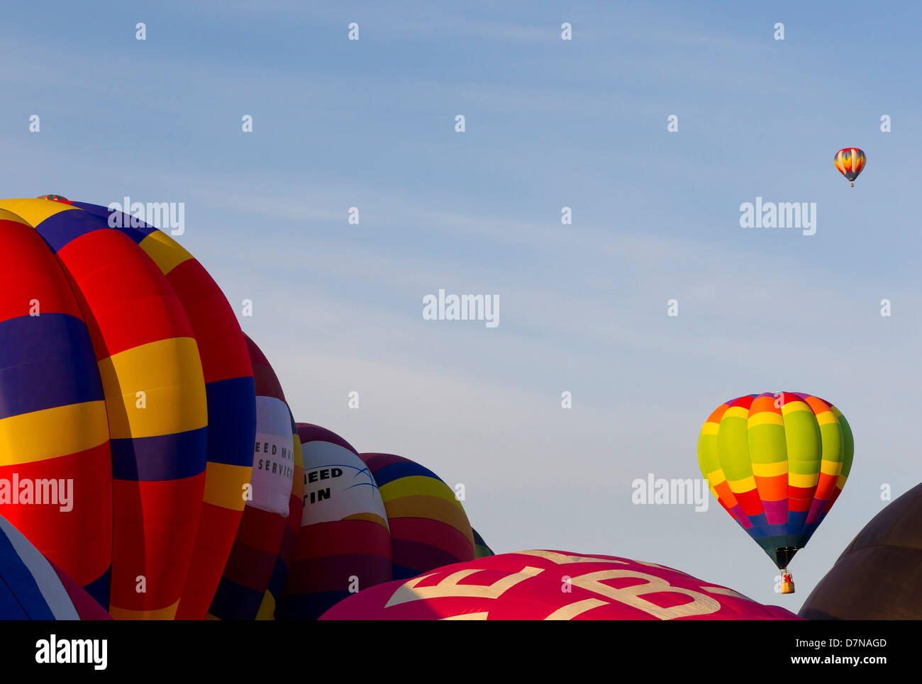 Balloons lifting for the Mass Ascension at the Albuquerque ...