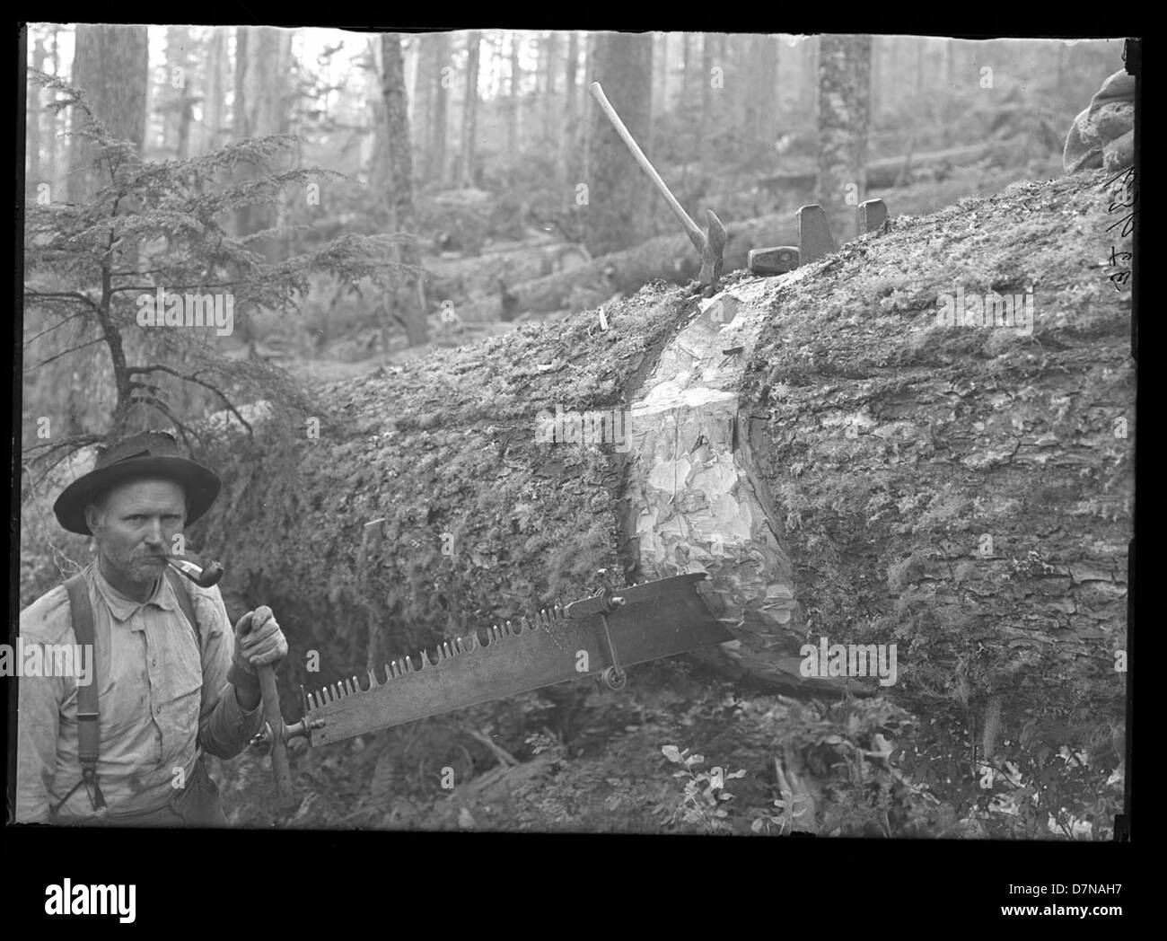 Undercutting hi-res stock photography and images - Alamy