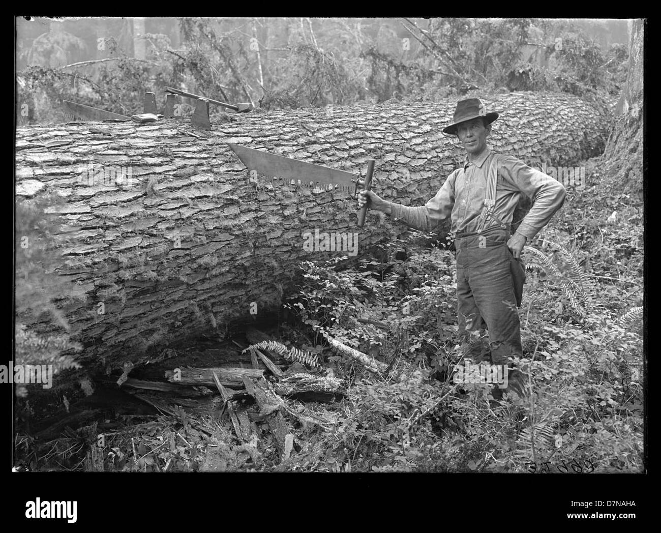 Man with saw Black and White Stock Photos & Images - Alamy
