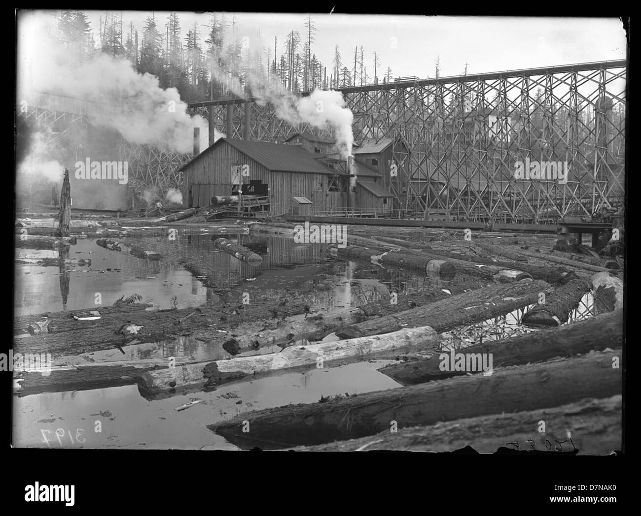 Logging pond hi-res stock photography and images - Alamy