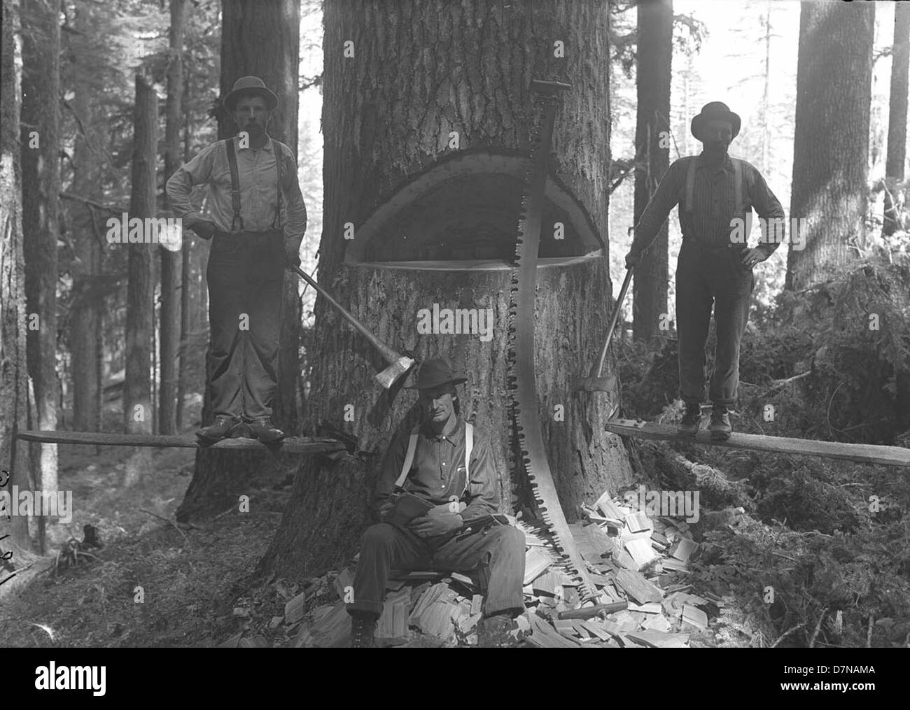 Three men with saws Stock Photo - Alamy