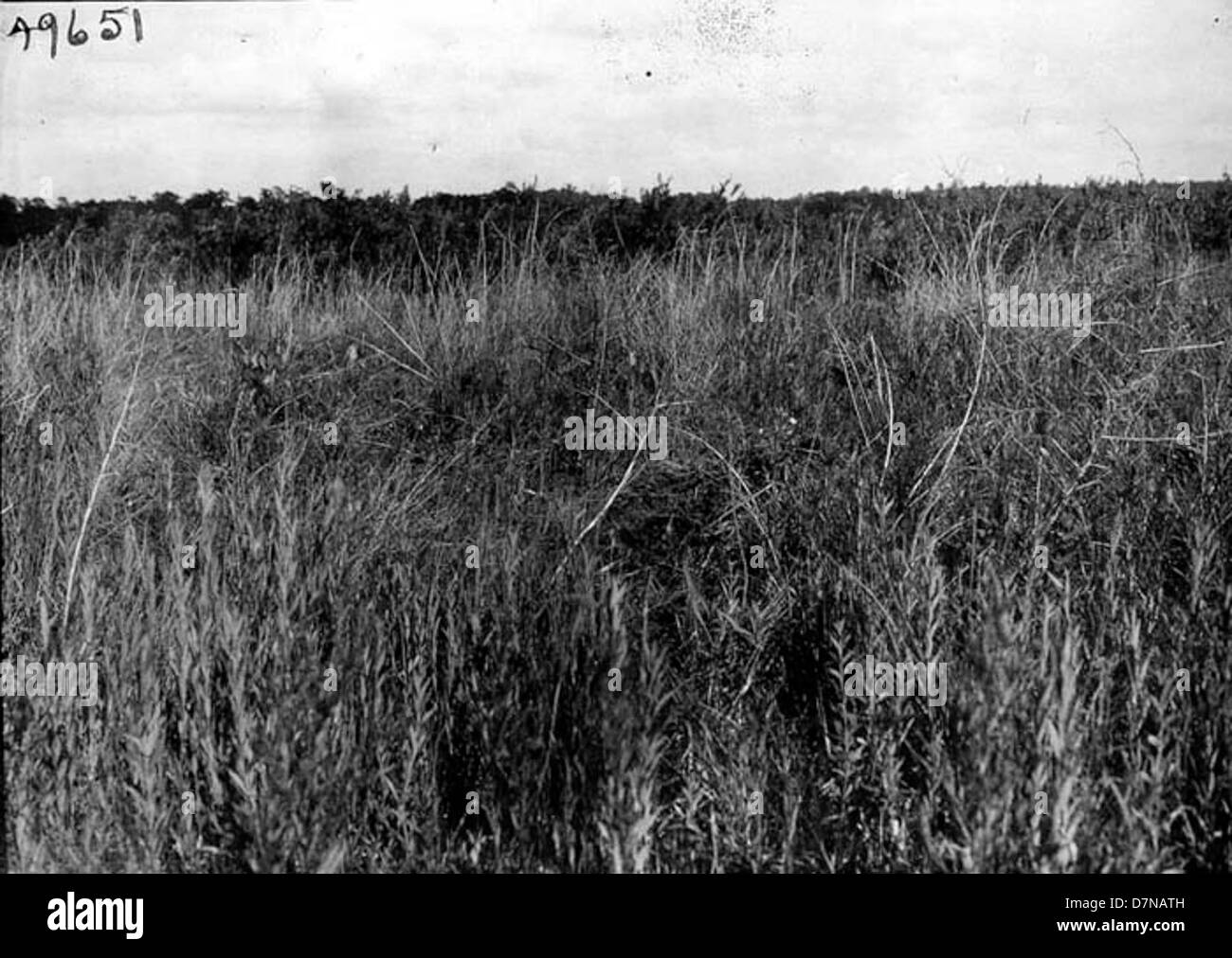 Building being constructed on Black and White Stock Photos & Images - Alamy
