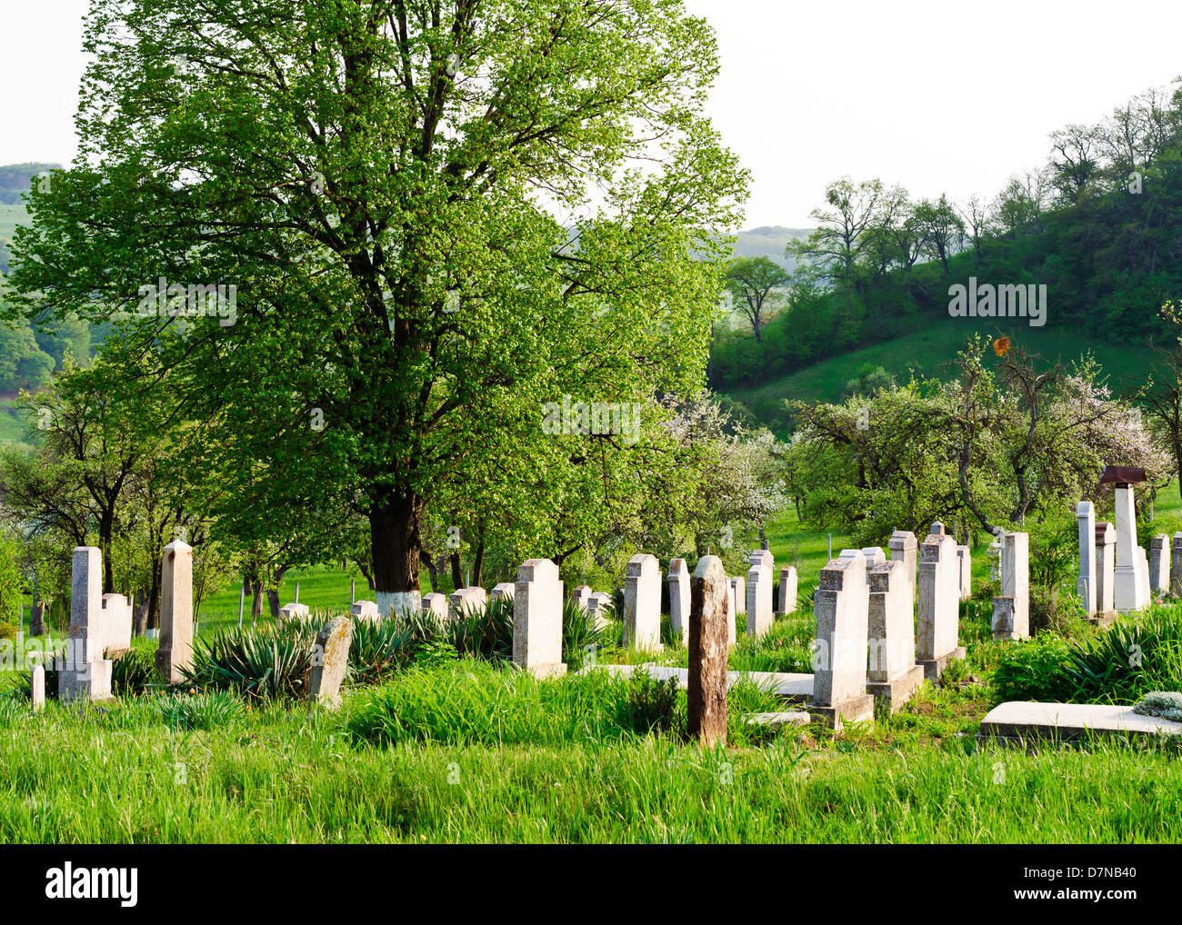 Countryside cemetery with green grass and trees Stock Photo - Alamy