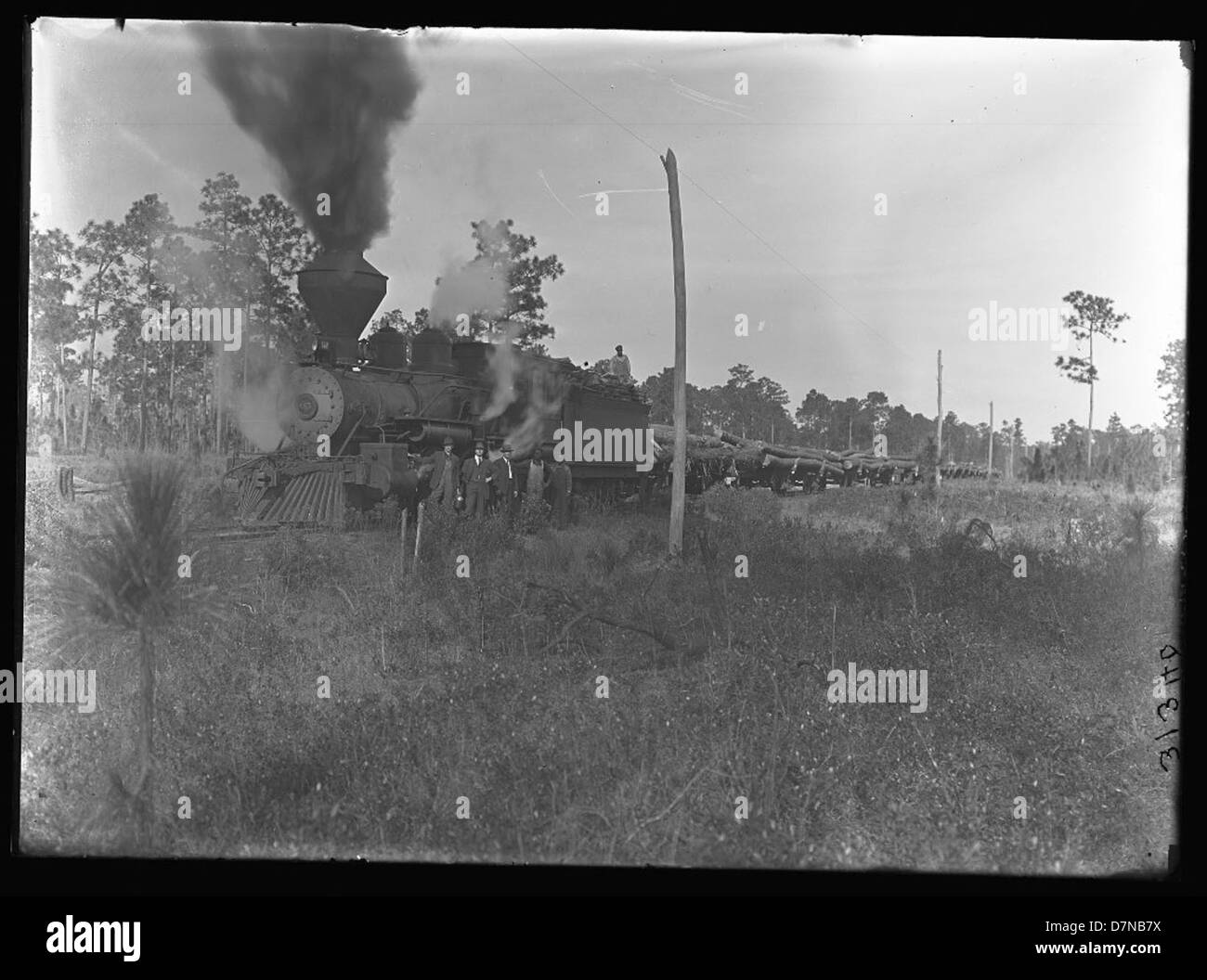 Log train hi-res stock photography and images - Alamy