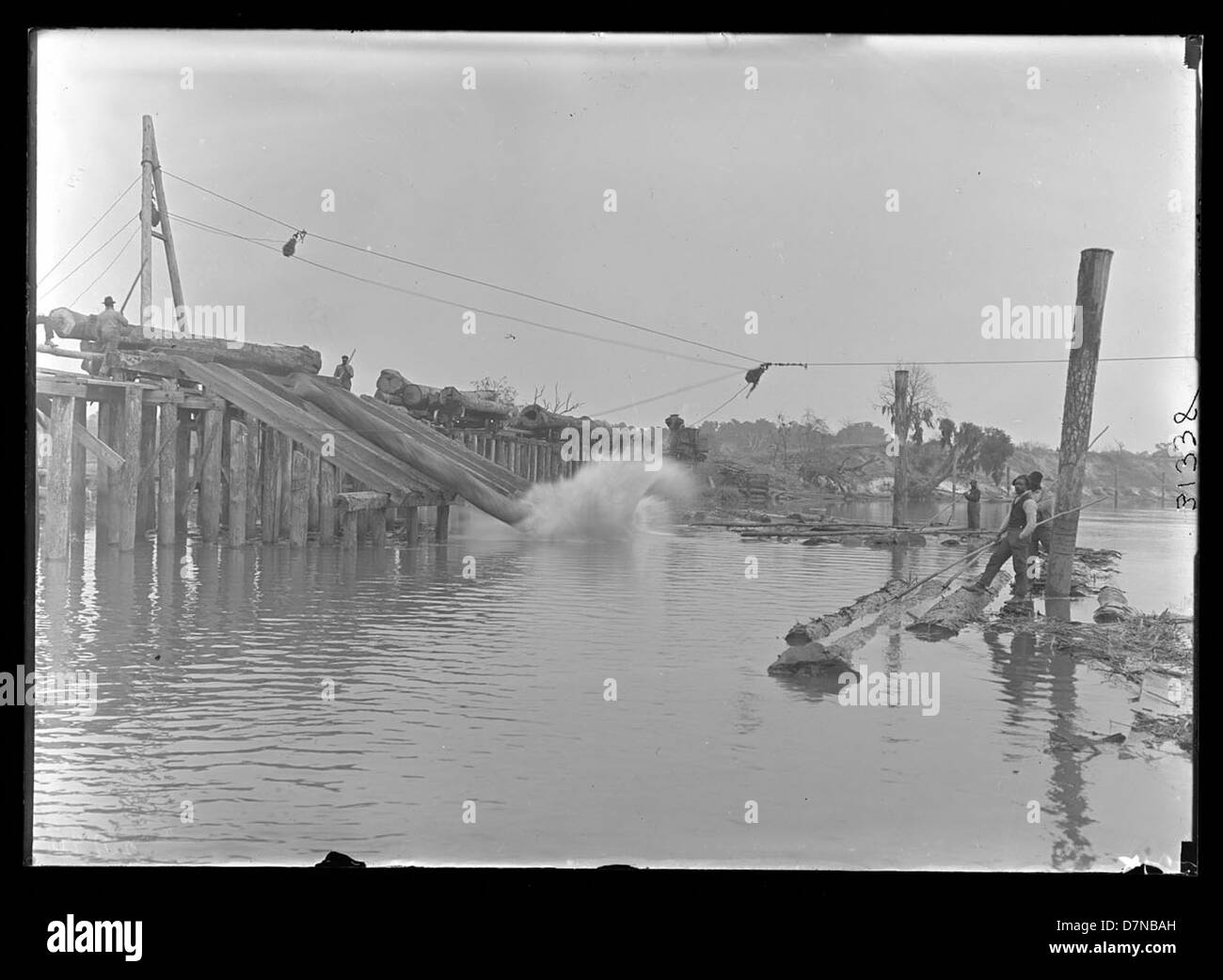 Men are seen rolling logs down a ramp as part of a botany collection ...