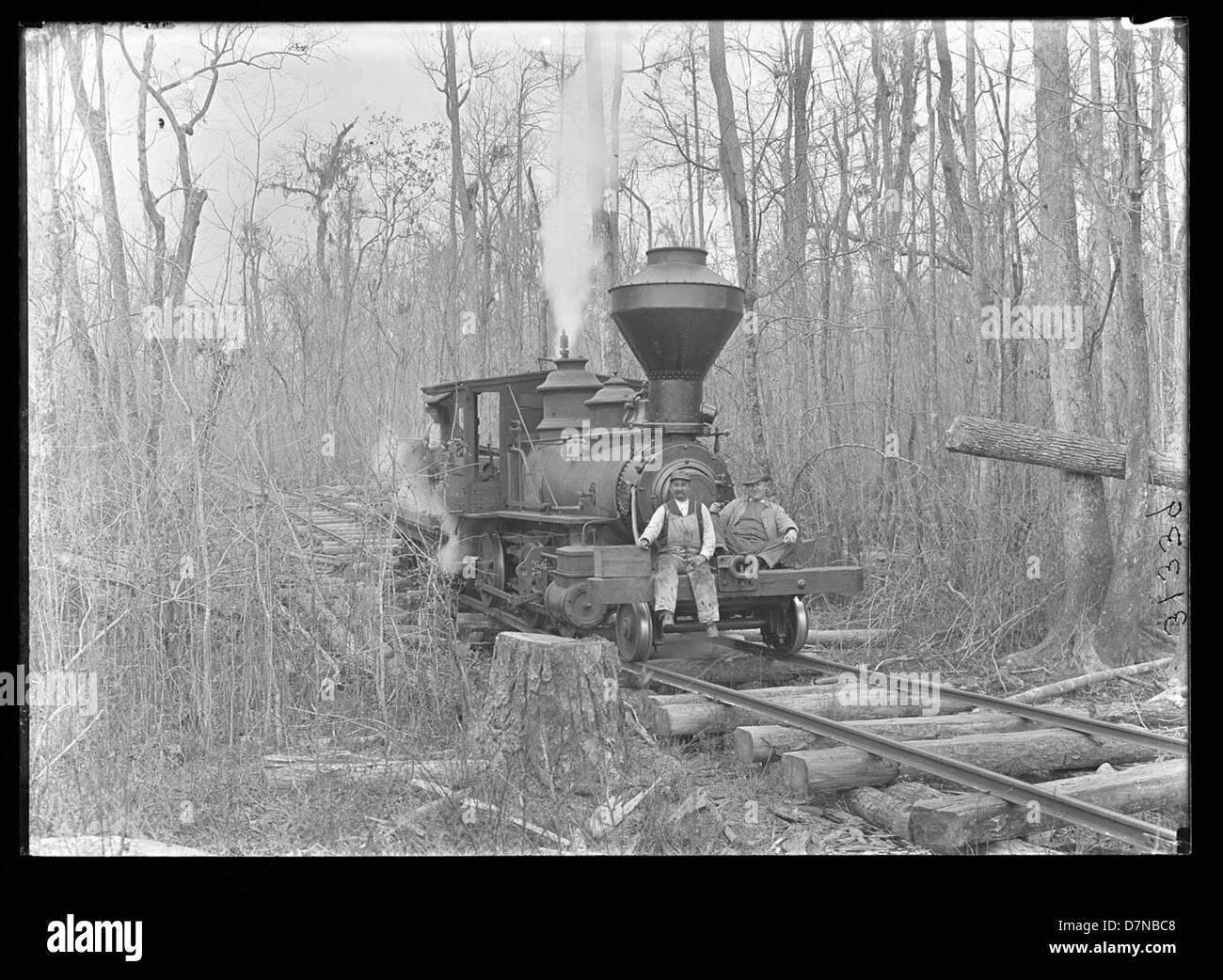 A C.C. & P. Railway log train is shown carrying specimen trees during ...
