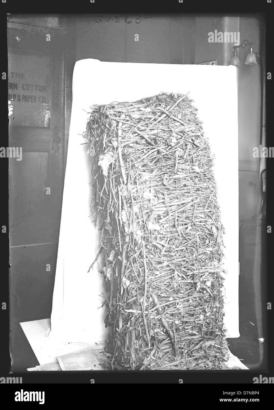 Georgia cotton plantation hi-res stock photography and images - Alamy