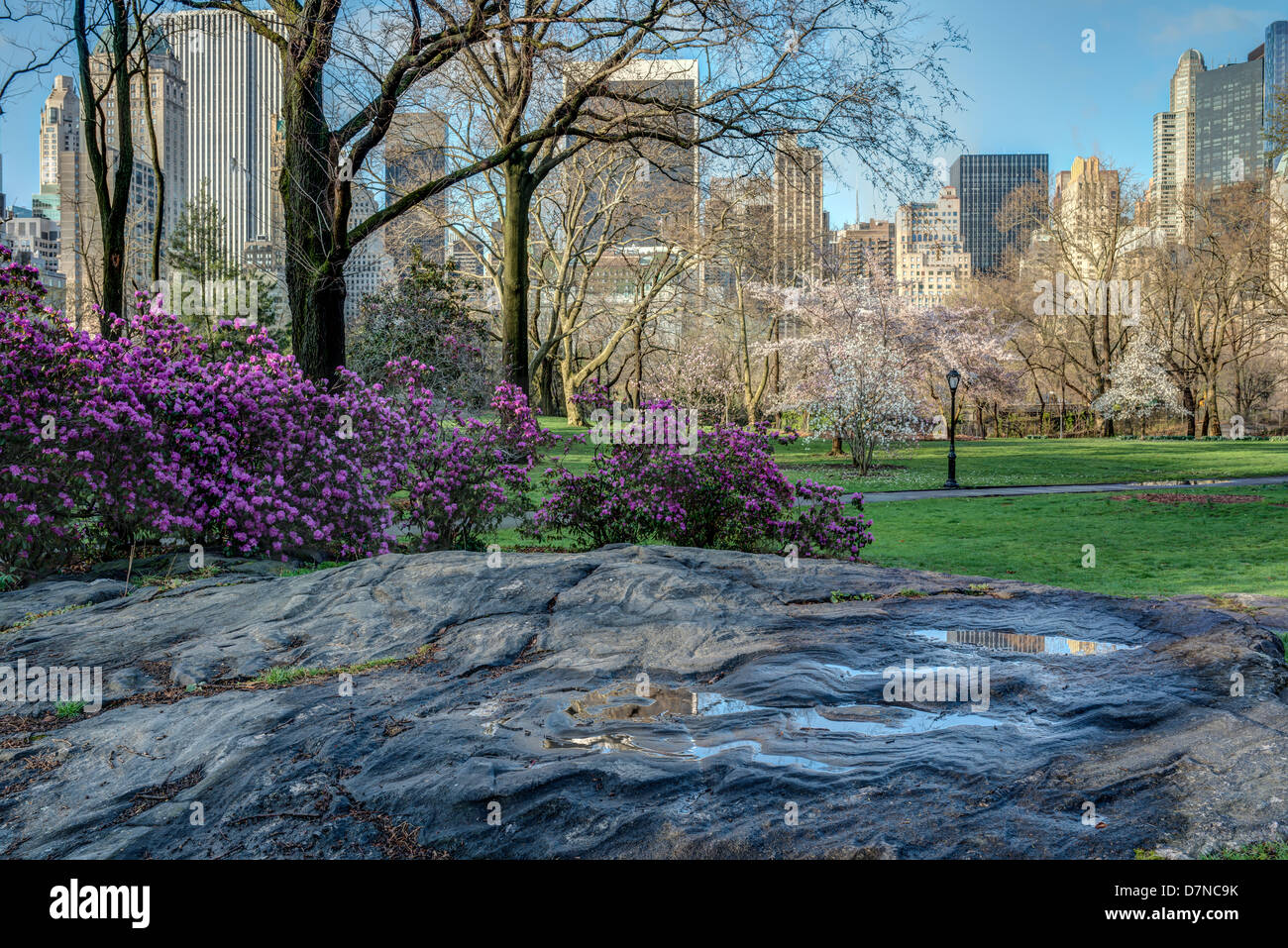 Spring in Central Park, New York City Stock Photo - Alamy
