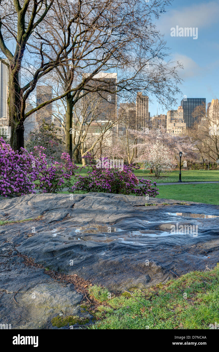 Spring in Central Park, New York City Stock Photo - Alamy