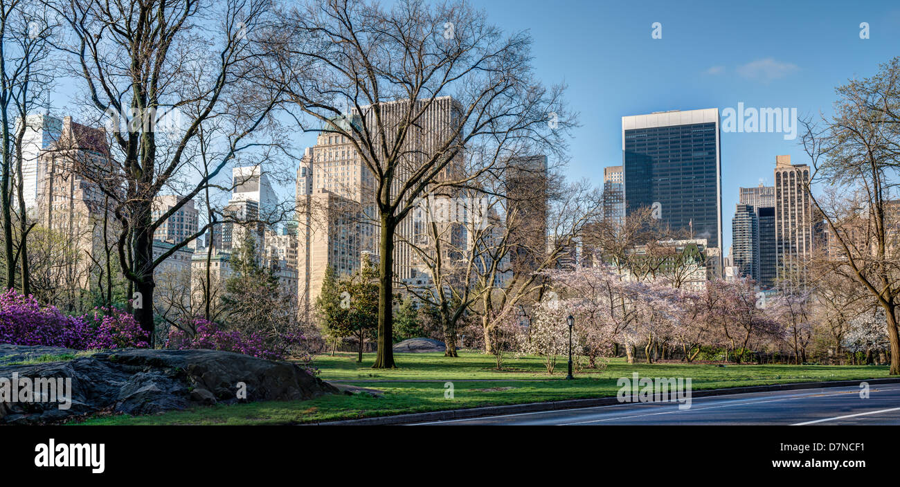 Spring in Central Park, New York City Stock Photo - Alamy