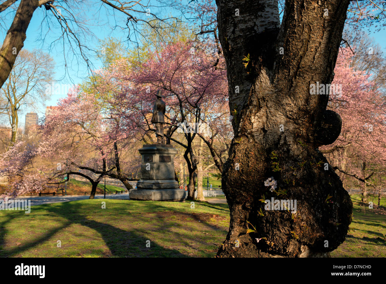 Central Park, New York City Pilgrim hill in early spring Stock Photo ...