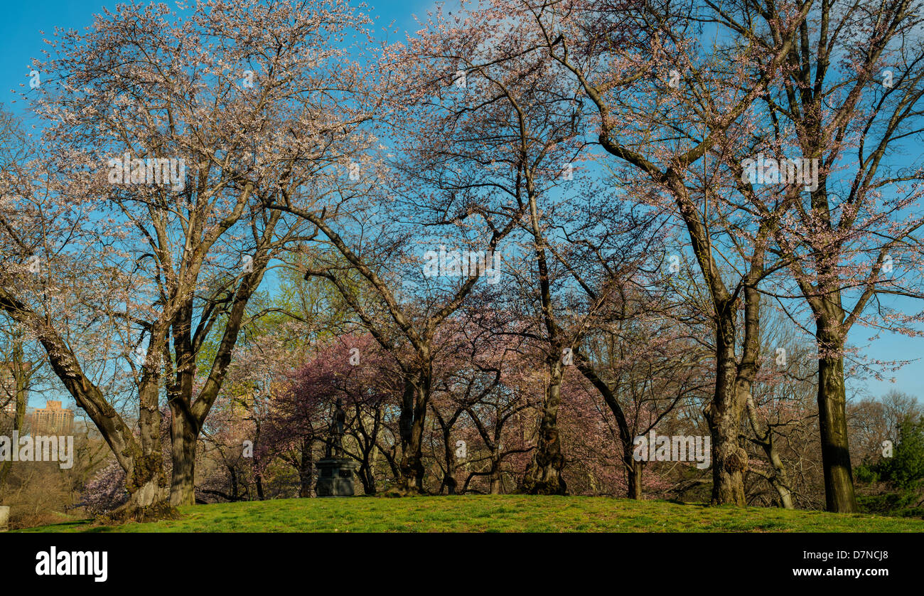 Pilgrim hill hi-res stock photography and images - Alamy