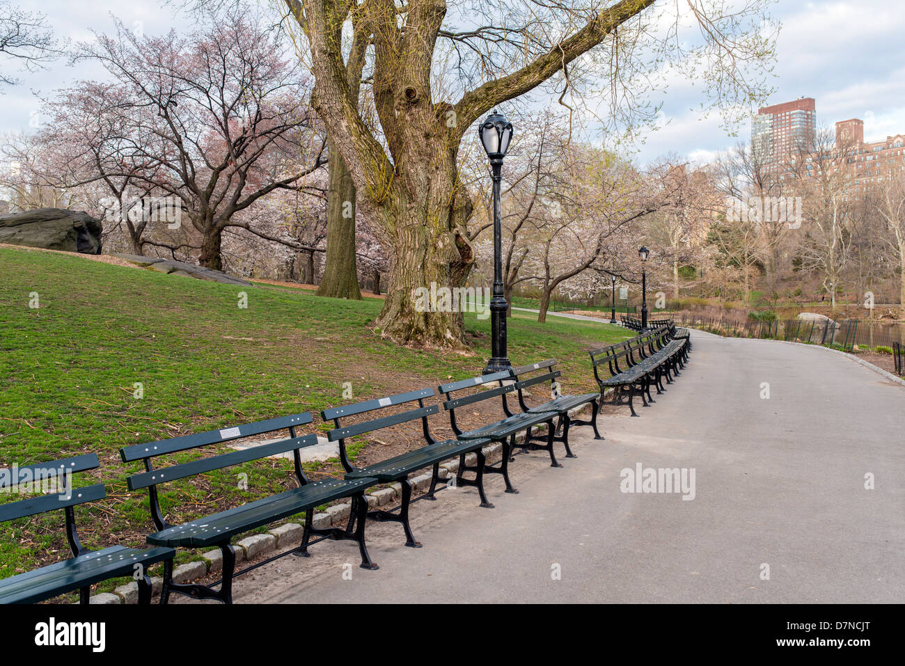 Central Park, New York City early spring with flowers Stock Photo - Alamy