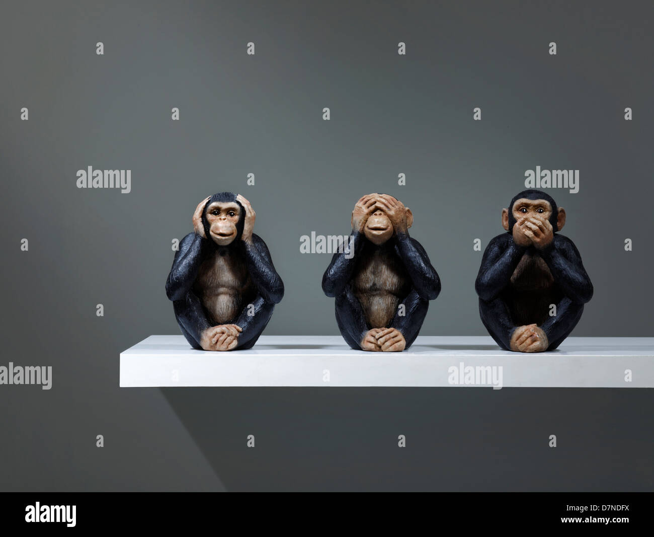 Three monkeys hi-res stock photography and images - Alamy