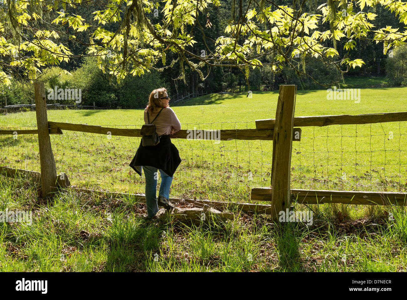 Ruckle provincial park salt spring island farm woman fence hi-res stock ...