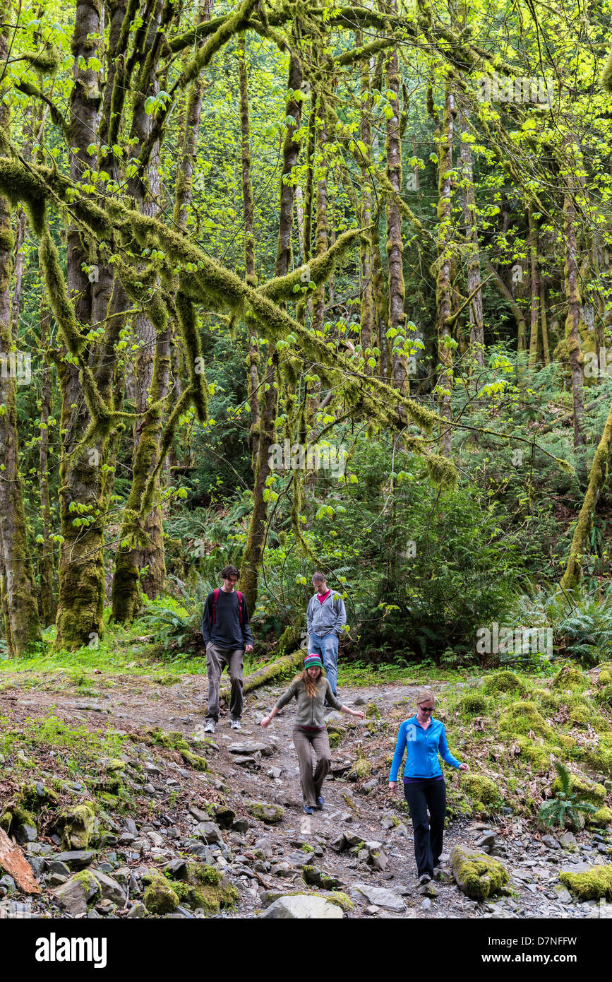 Goldstream provincial park forest hikers goldstream provincial park ...