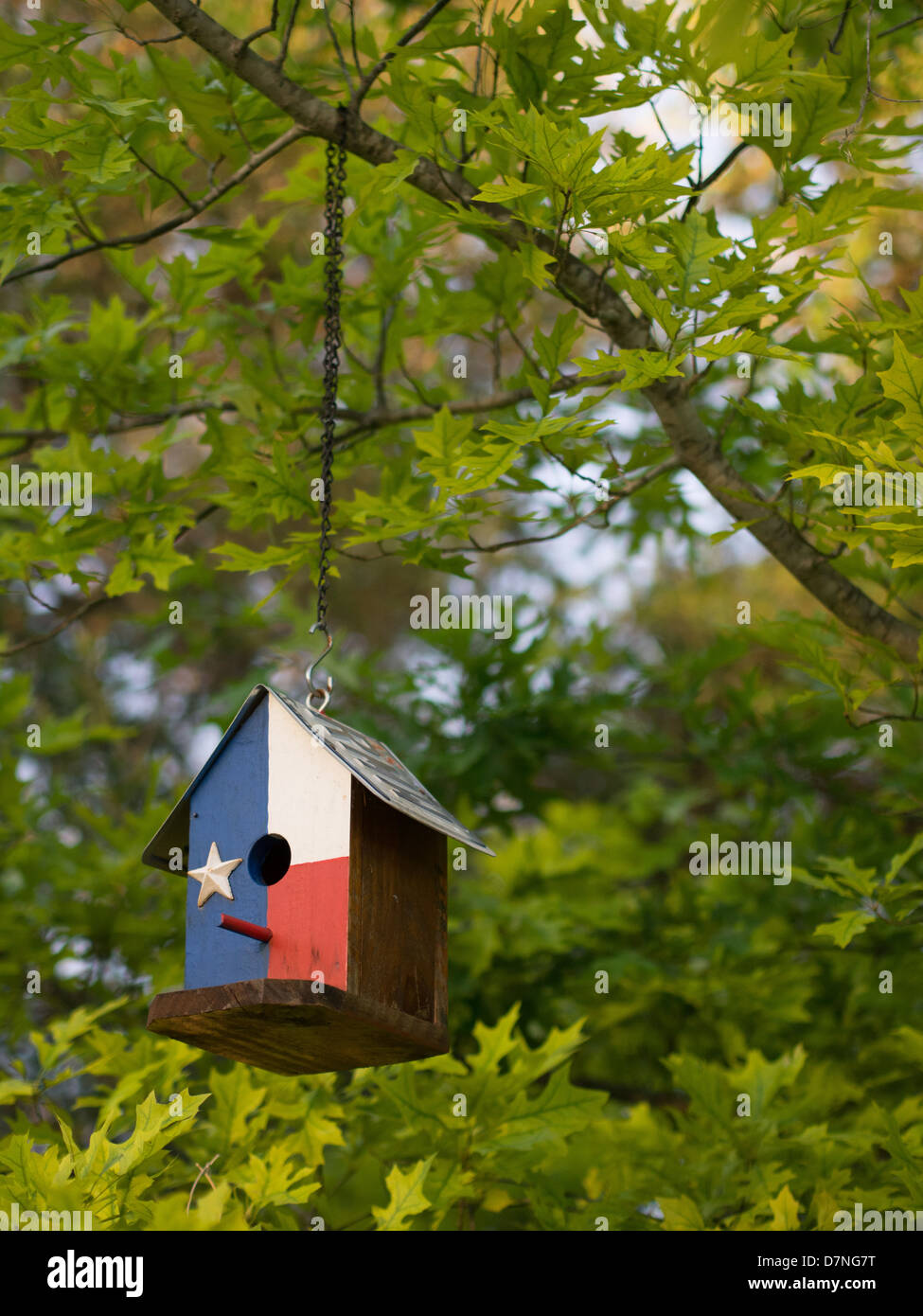 House texas flag hi-res stock photography and images - Alamy