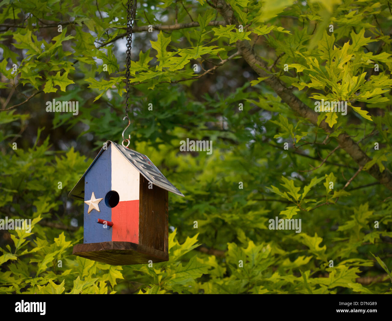 Lone star flag hi-res stock photography and images - Alamy