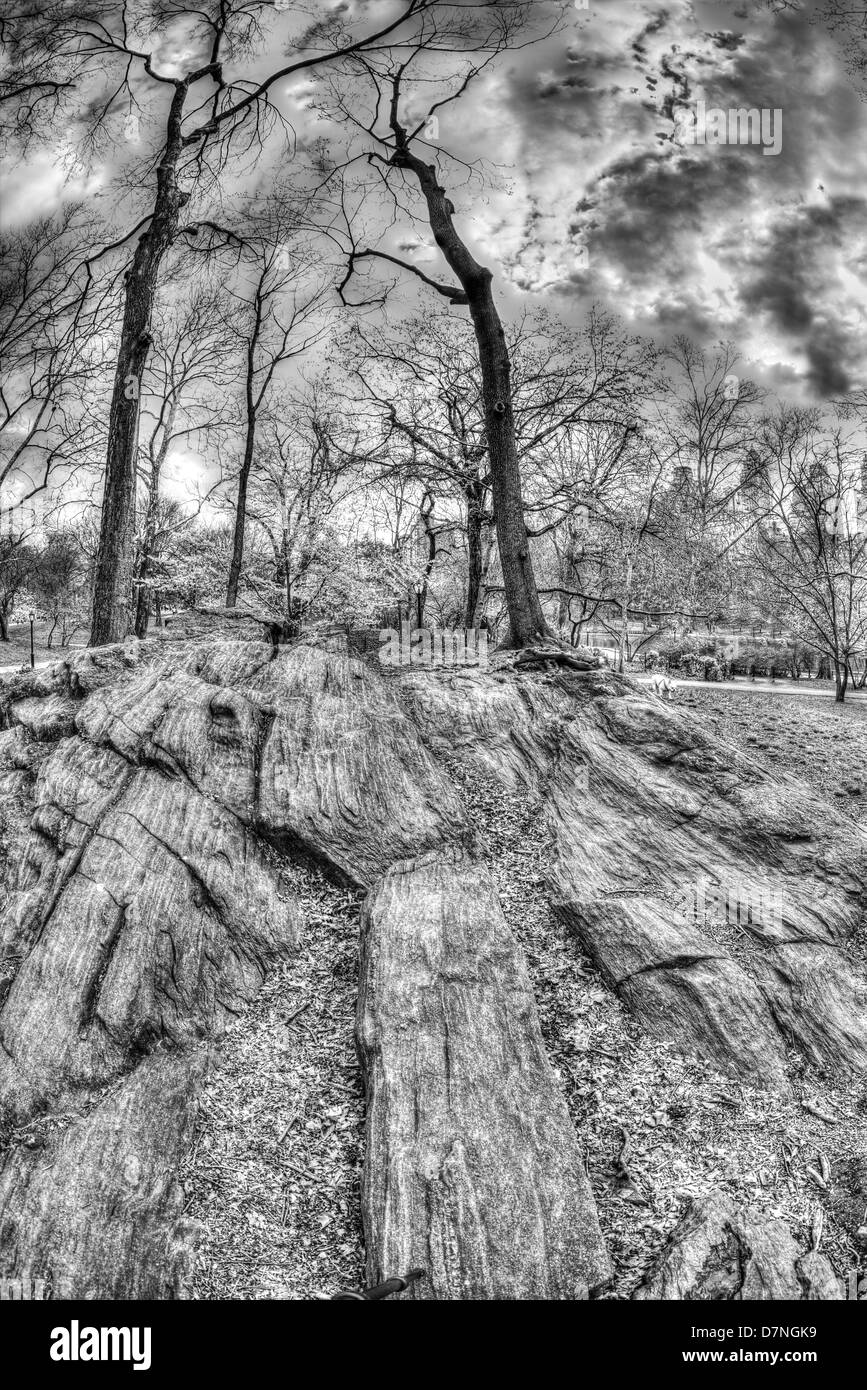 Central park, new york city spring Black and White Stock Photos ...