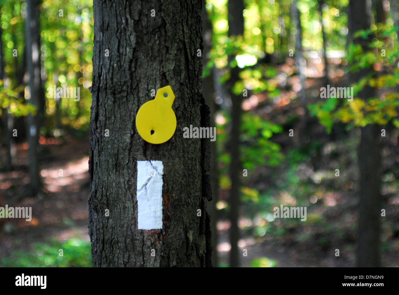 Hike marker hi-res stock photography and images - Alamy