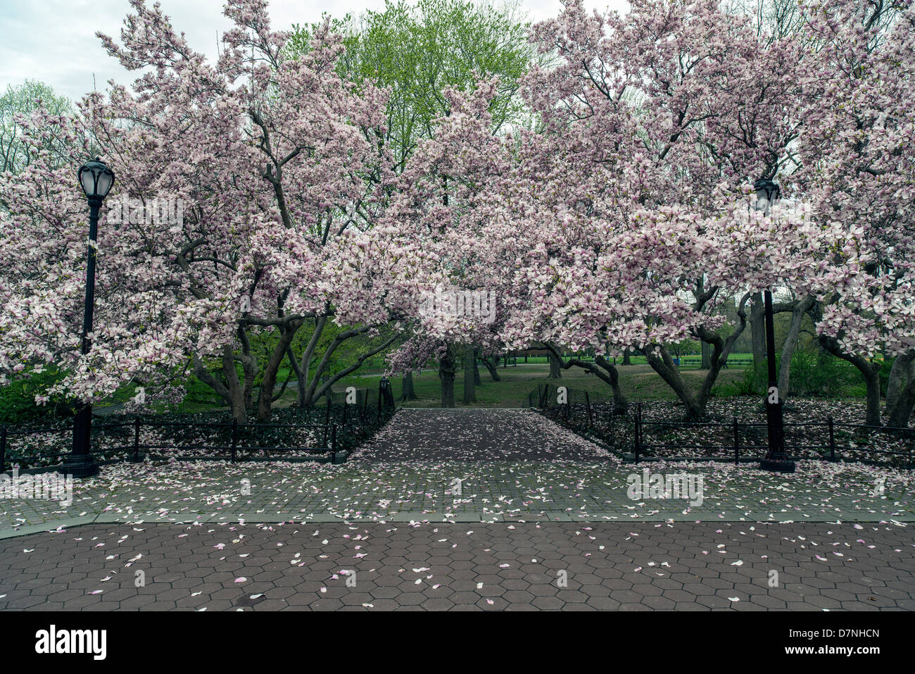 Manhattan in spring hi-res stock photography and images - Alamy