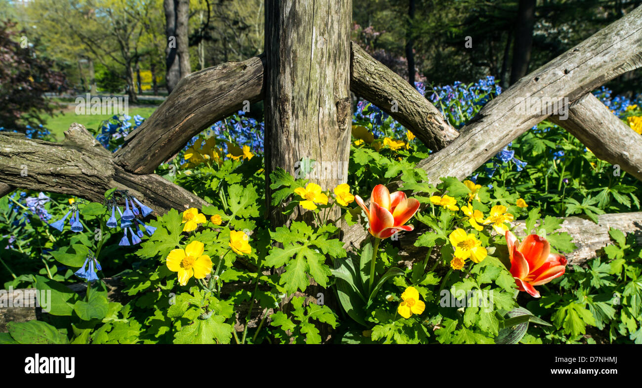 Spring in Central Park, New York City Stock Photo - Alamy