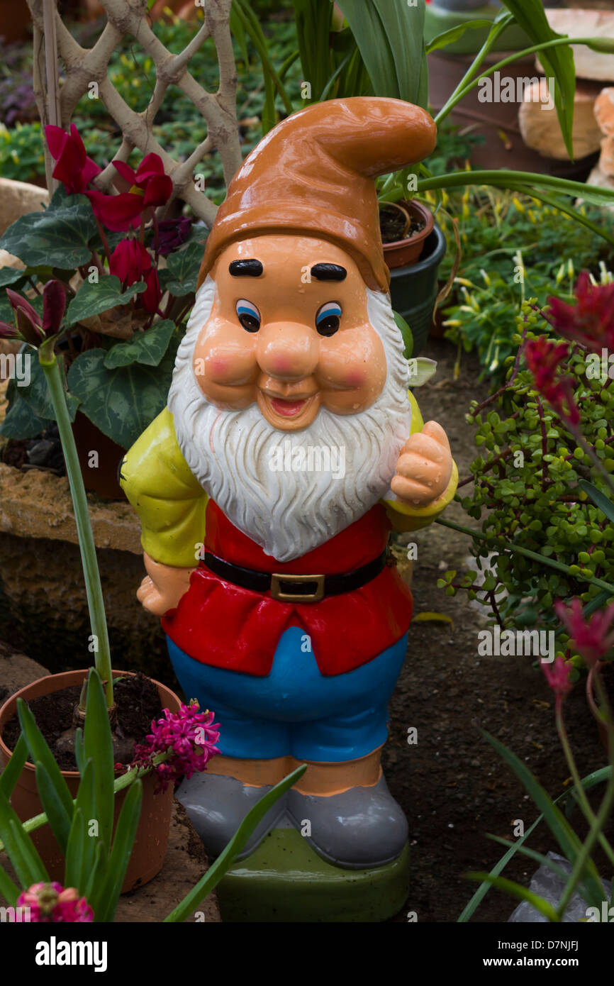 Red midget flower hi-res stock photography and images - Alamy