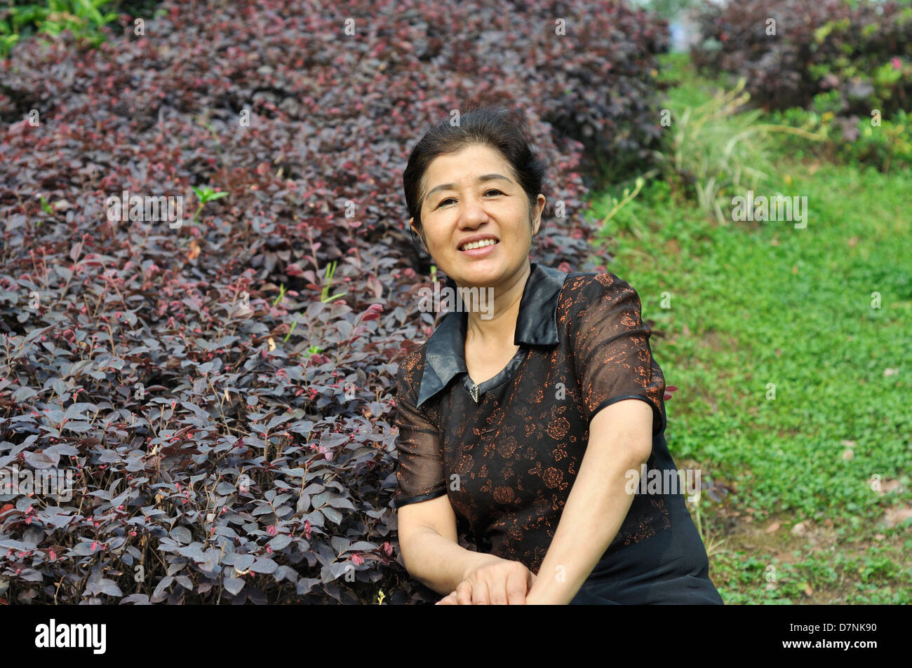 Elegant mature chinese woman hi-res stock photography and images - Alamy
