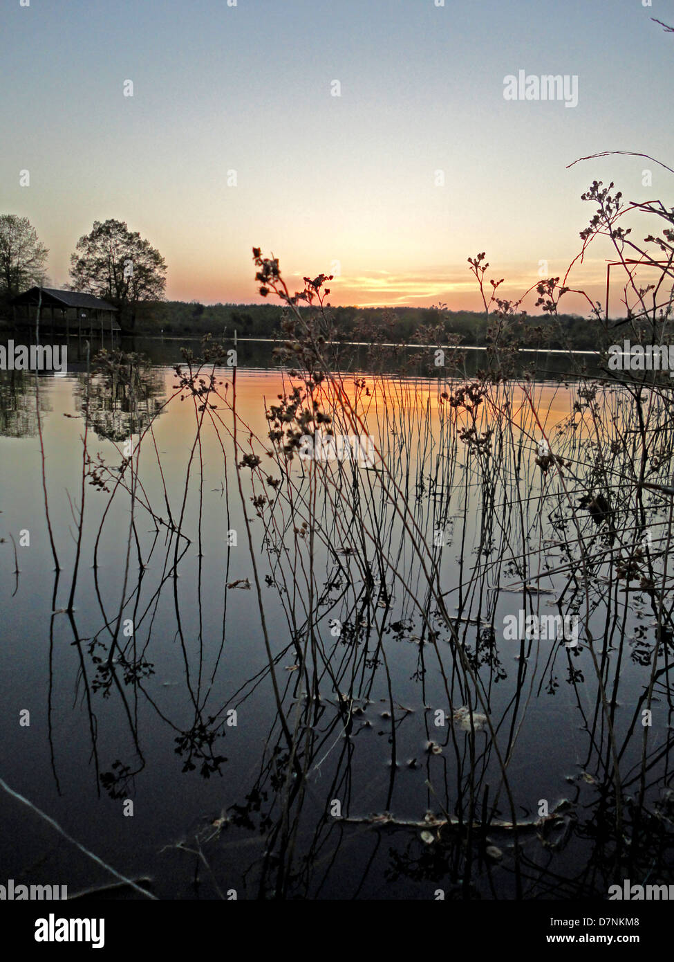 Pondview hi-res stock photography and images - Alamy