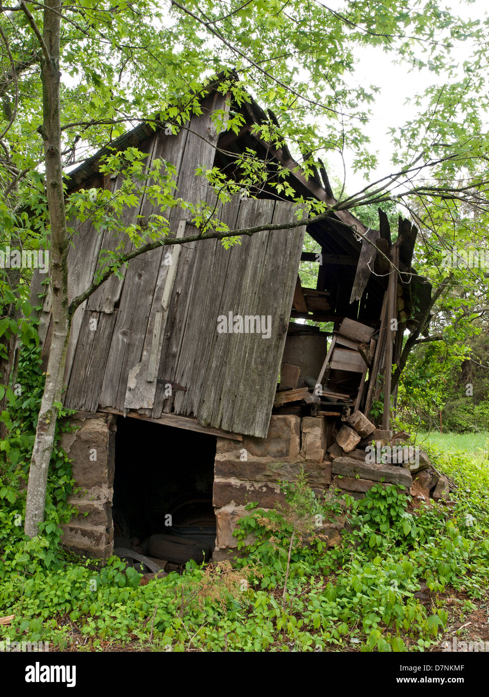 Building and nature hi-res stock photography and images - Alamy