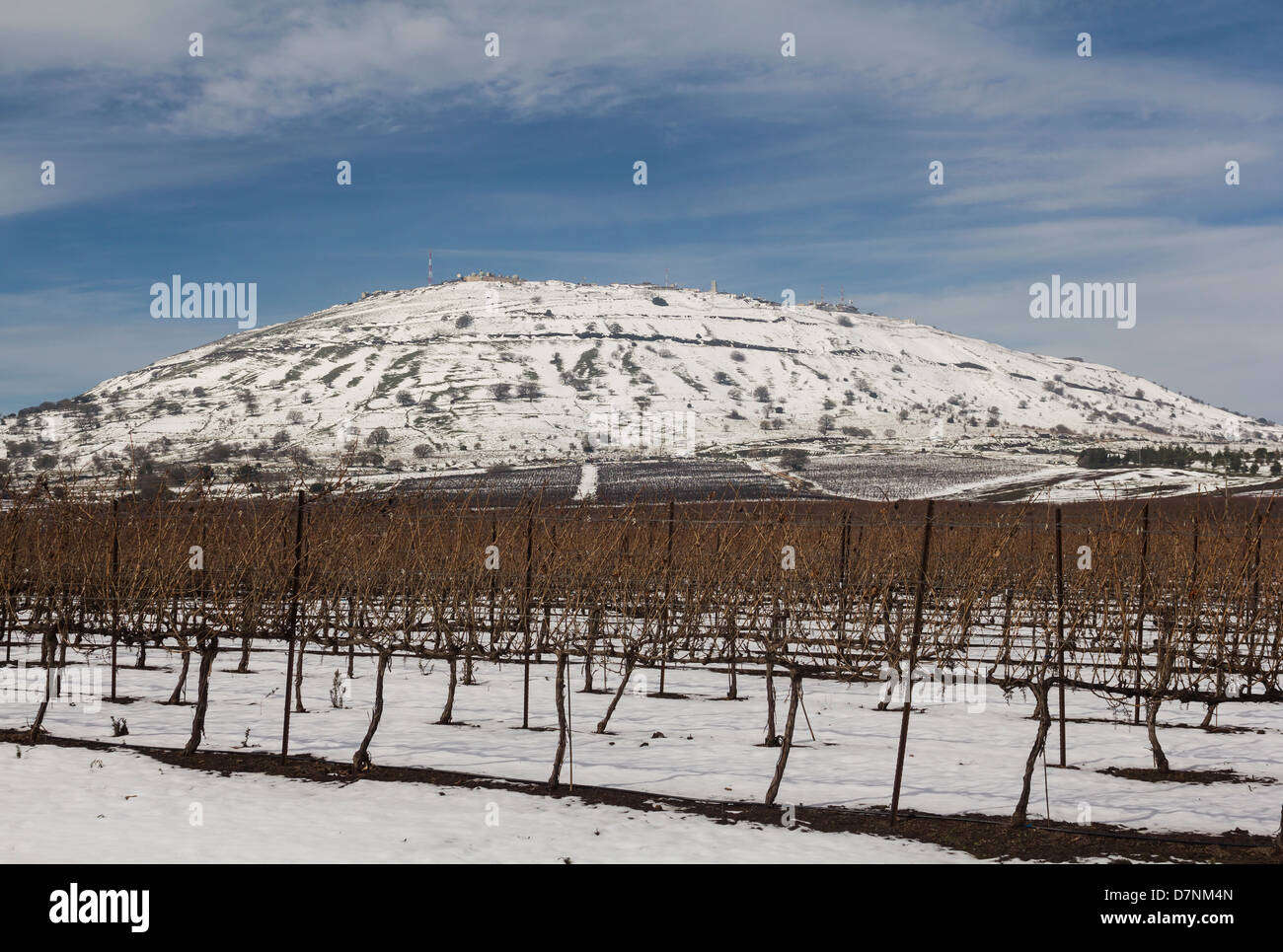 Benthal hi-res stock photography and images - Alamy