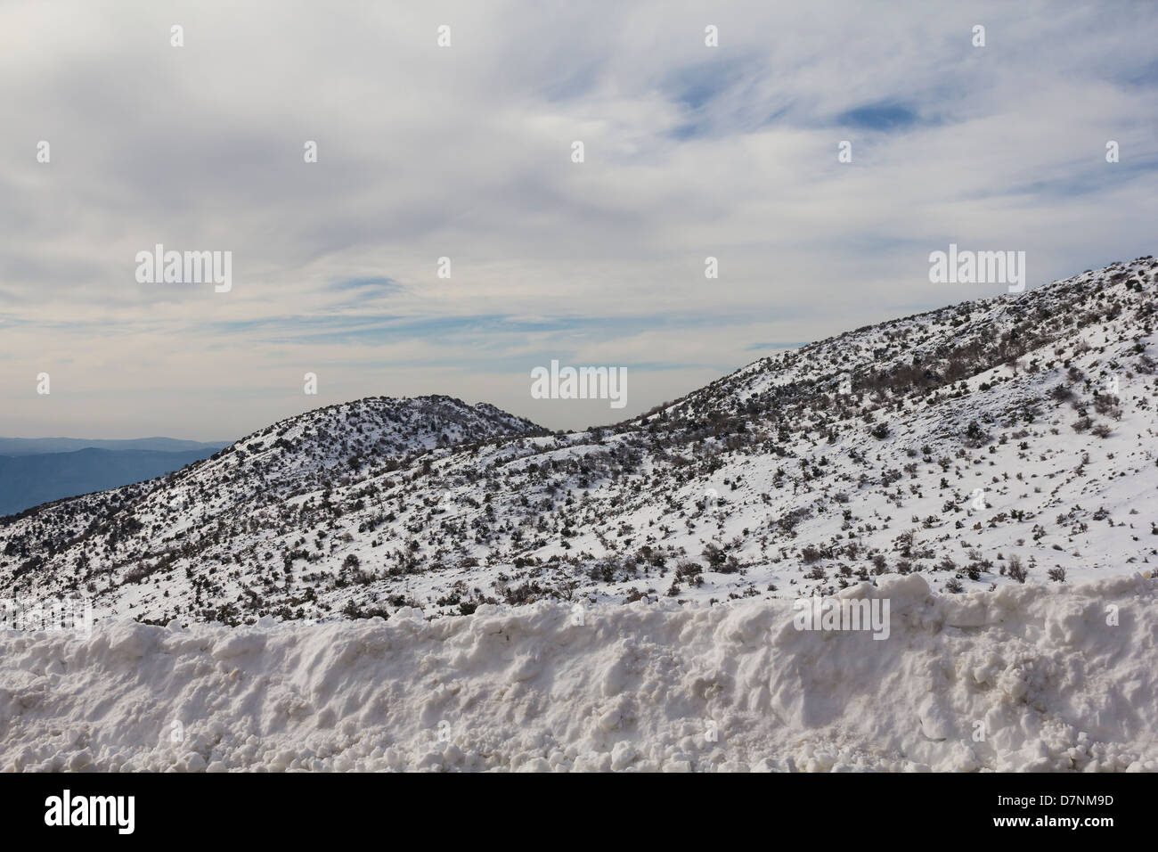 Mount Hermon in the snow, Israel Stock Photo - Alamy