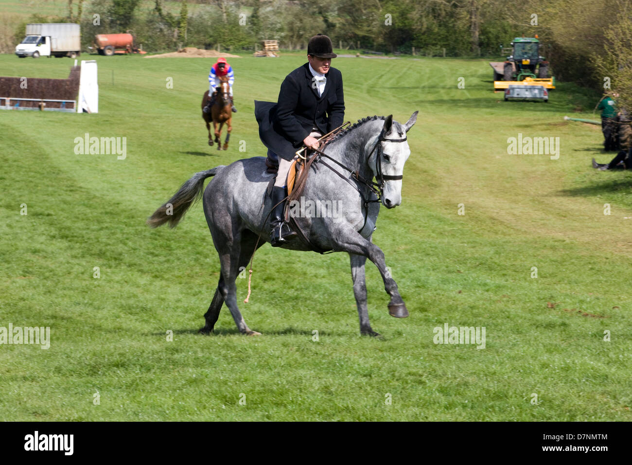 Thoroughbred horse point to point Equus ferus caballus Stock Photo - Alamy
