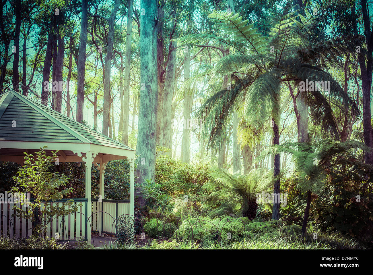 Adelaide hills trees hi-res stock photography and images - Alamy